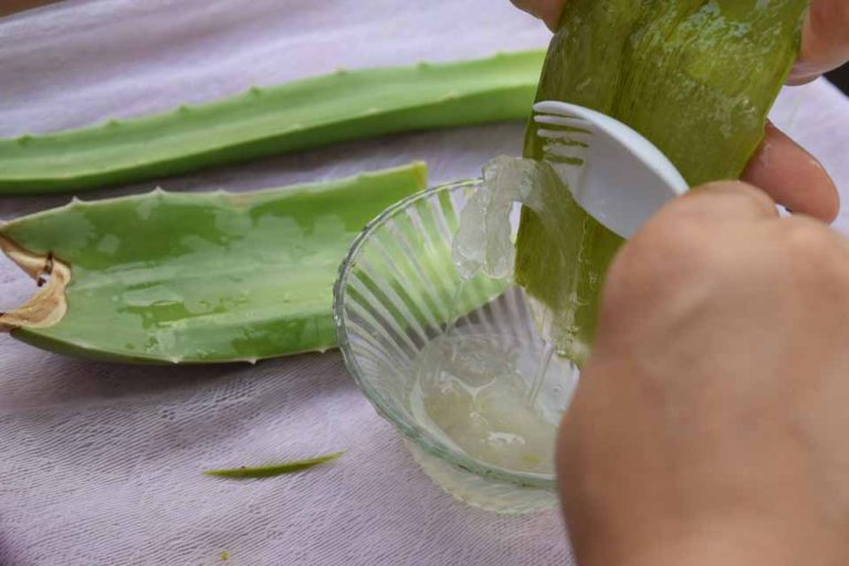 Aloevera - Lemon Serum For Bright & Clear Complexion : DIY - High On Gloss